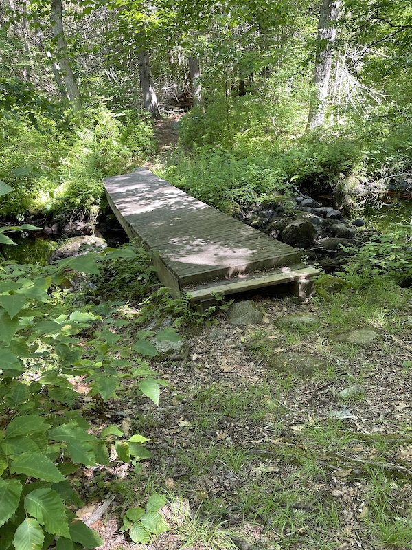 Pachaug Trail Hiking Trail - Voluntown, Connecticut