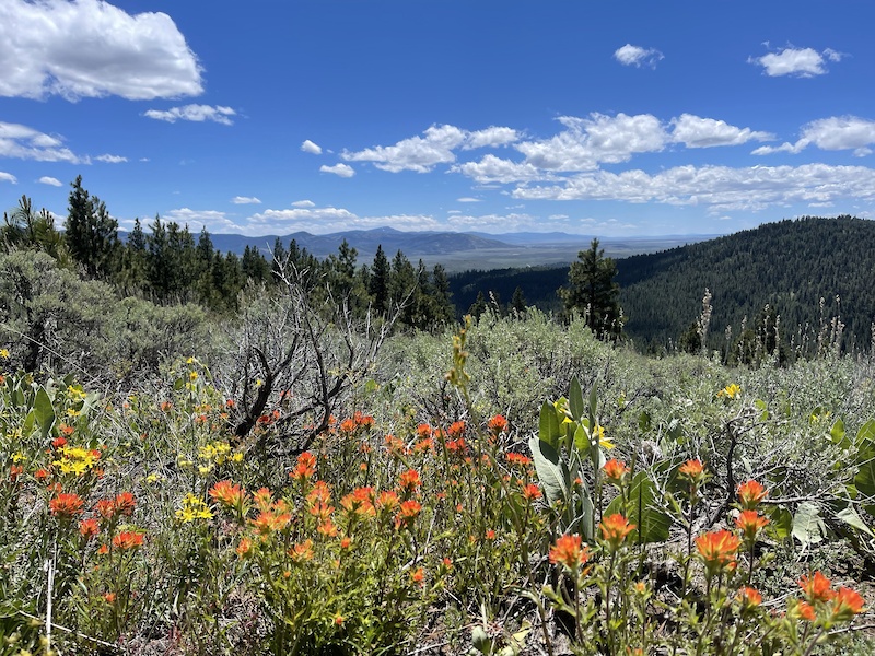 Fremont NRT - Moss Pass South Multi Trail - Lakeview