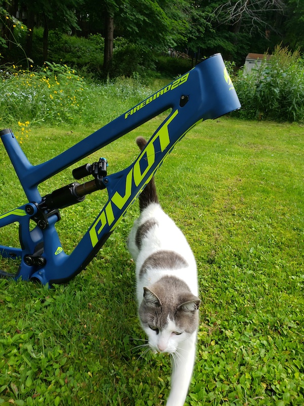 2020 Pivot Firebird 29 Never Ridden Frame+ For Sale