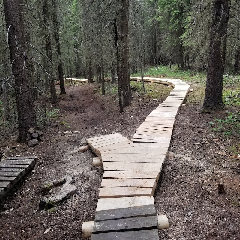 Billy Dog Mountain Biking Trail - Bragg Creek, Alberta
