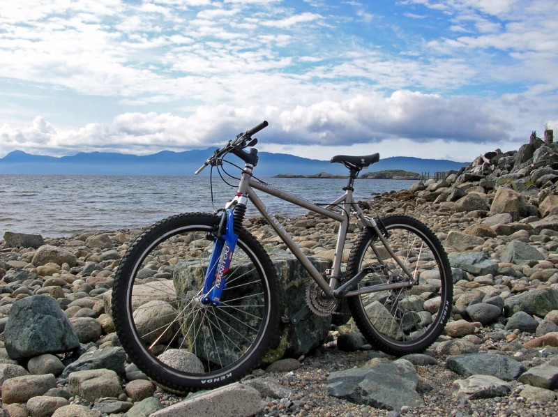 Merlin Echo with Moots YBB suspension For Sale