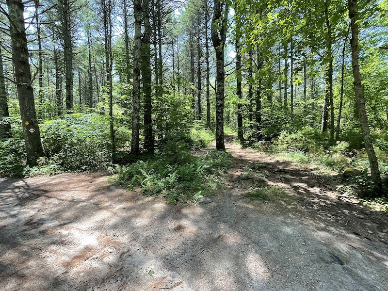 Pachaug Beatdown Mountain Biking Route | Trailforks