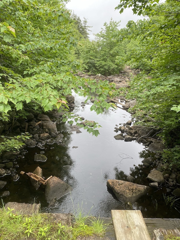 Bowater Mersey to Pockwock Road Multi Trail - Tantallon