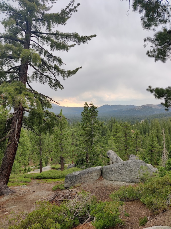 Pinewood Connector Multi Trail - Meyers, California