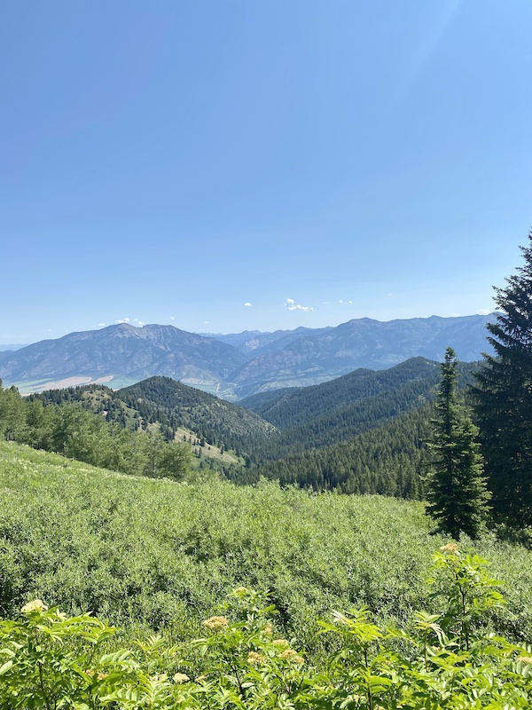 Red Ridge Mountain Biking Trail - Swan Valley, Idaho