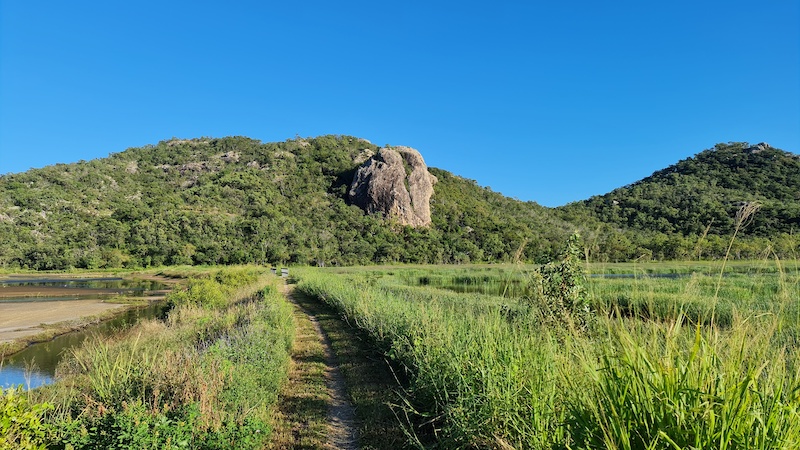 Freshwater trail Mountain Biking Trail - Townsville