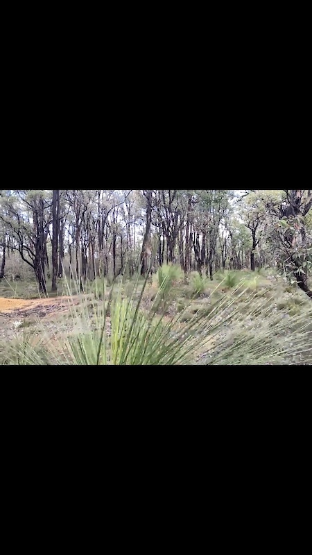 Hula Mountain Biking Trail - Perth | Trailforks