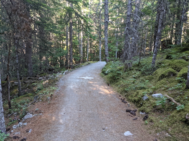 Lost Lake Loop - Green Up Blue Down Mountain Biking Route | Trailforks