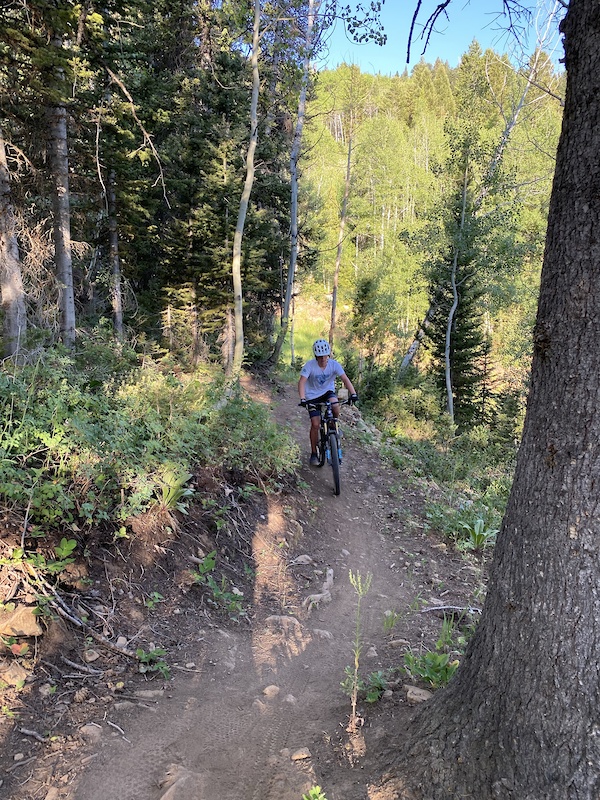Beaver Mountain Loop | Trailforks