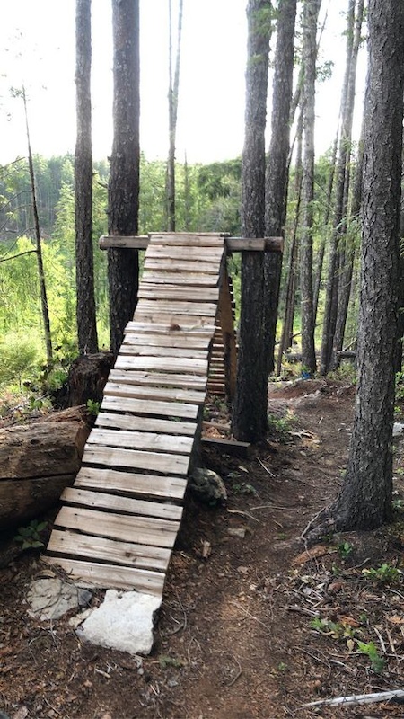 Upper Goose Tracks Mountain Biking Trail - Port Alberni