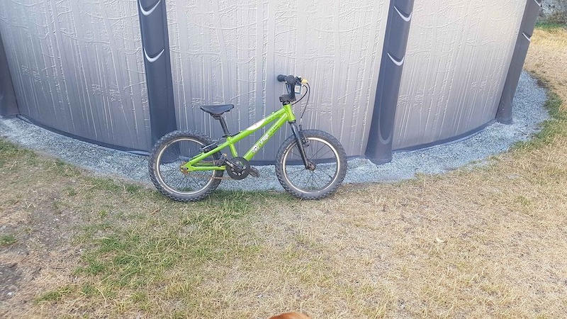 2017 Spawn Banshee For Sale