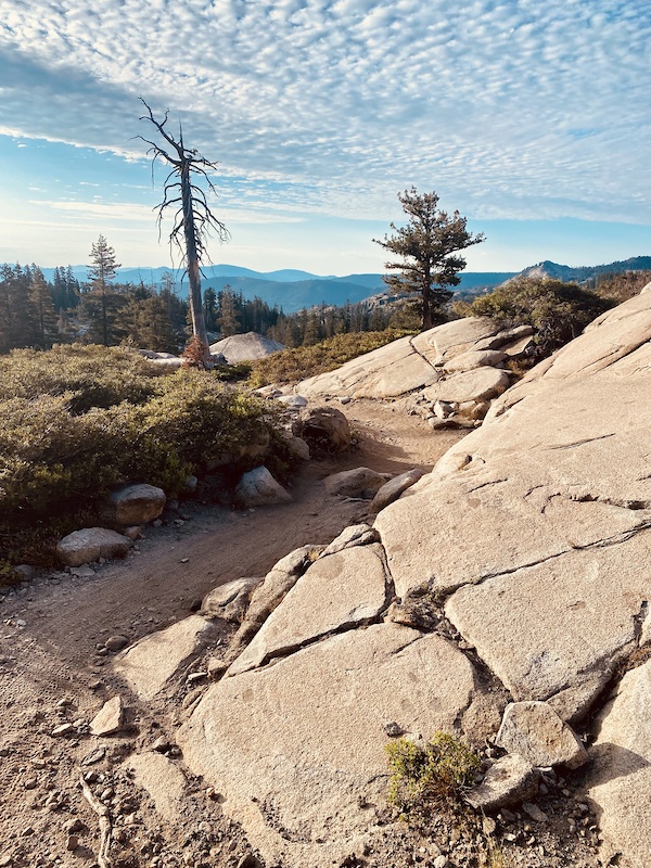 Donner Lake Rim Trail Double Lolipop Trail Running Route | Trailforks