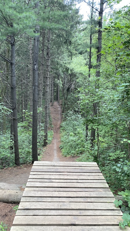 Rend Lake Recreation Area, Benton Mountain Biking Trails | Trailforks
