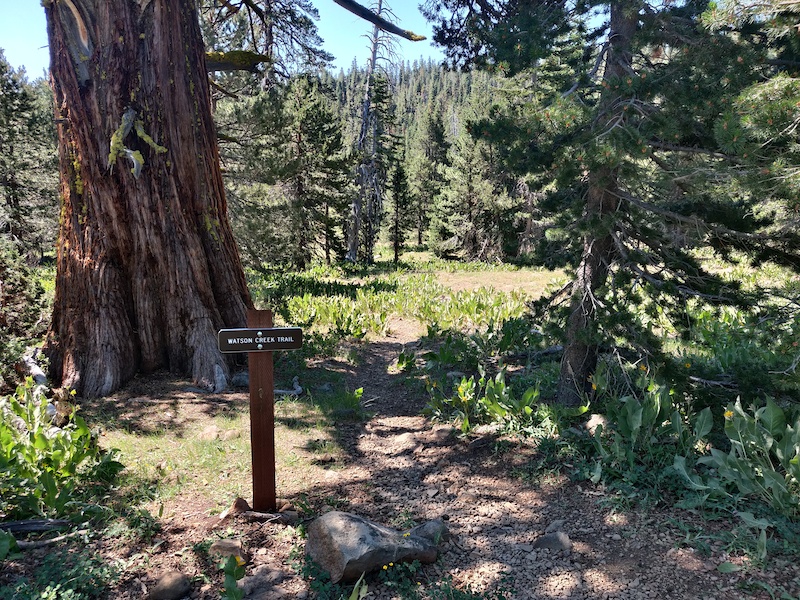 Watson Lake Loop Mountain Biking Route | Trailforks