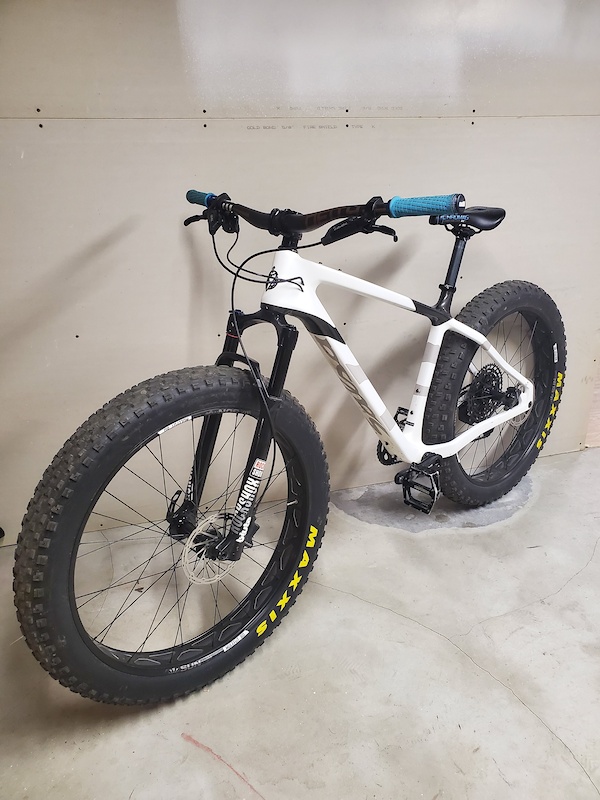 2020 Salsa Beargrease For Sale