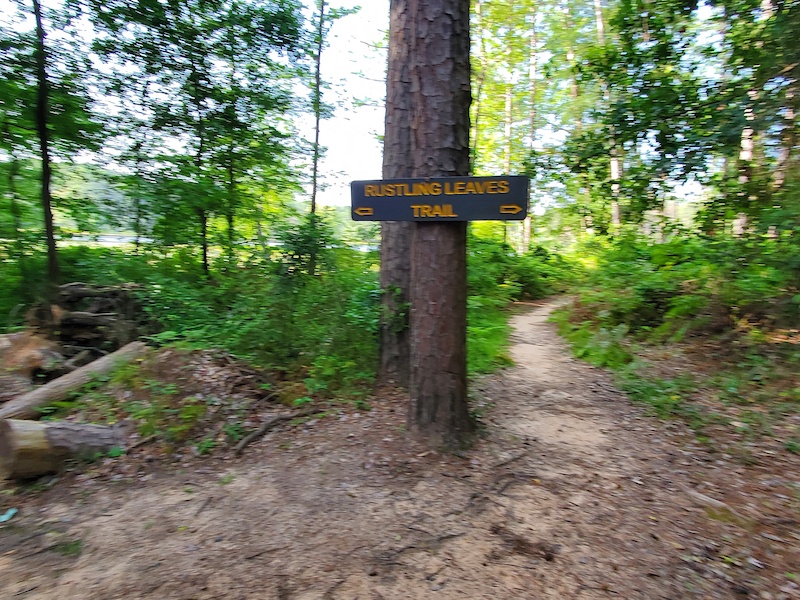 Dangerfield State Park, Dangerfield Mountain Biking Trails | Trailforks