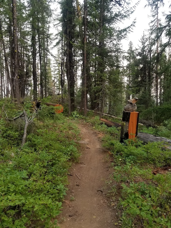 Larch Ridge Mountain Biking Trail - Rossland, BC