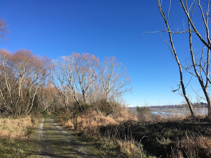 Templar's Island Trail Mountain Biking Trail - Christchurch