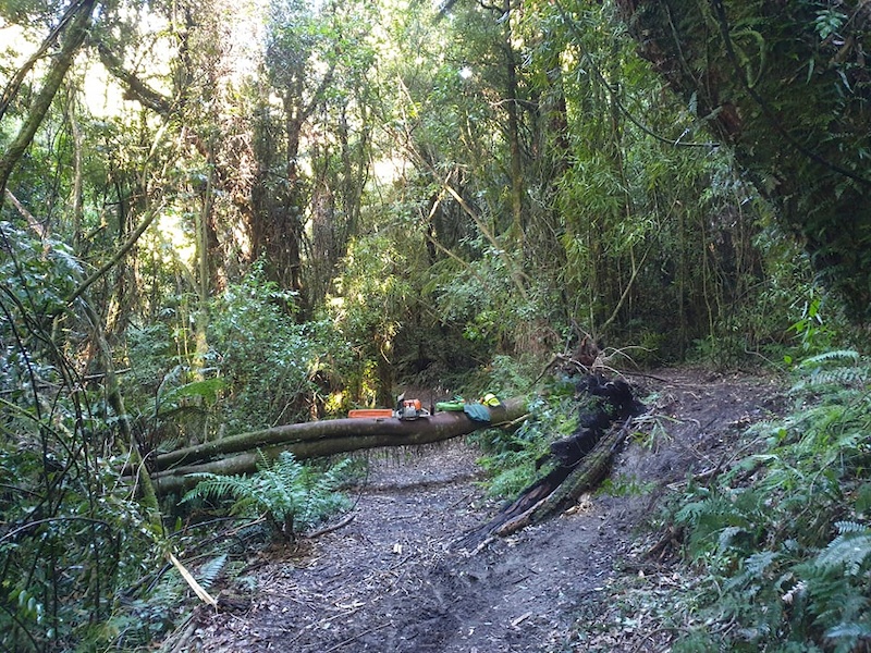 Western Okataina Track Multi Trail - Rotorua