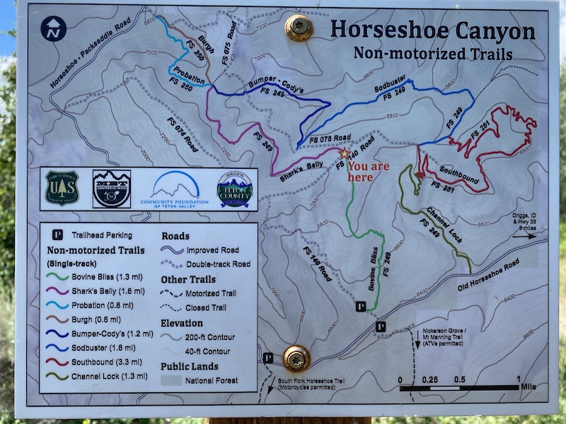 Horseshoe Loop | Trailforks