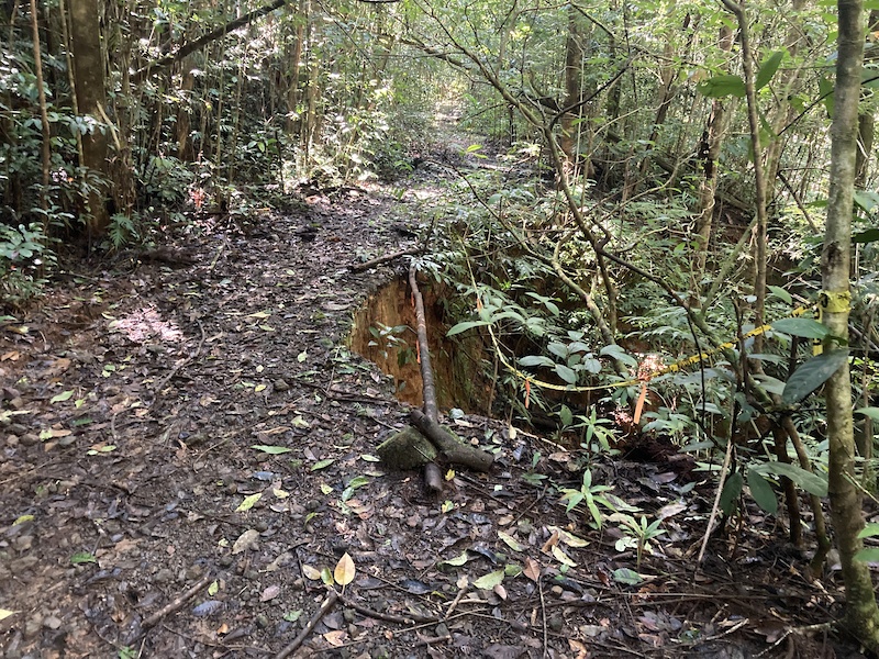 Cardwell Range Trail Multi Trail - Cairns | Trailforks