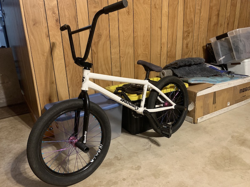 2019 Custom Sunday soundwave glow For Sale