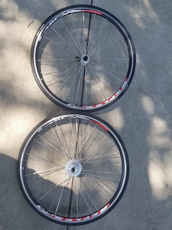 2012 Reflex BX5 Wheels With Miche Cassette For Sale 2012-reflex-bx5-wheels-with-miche-cassette-for-sale