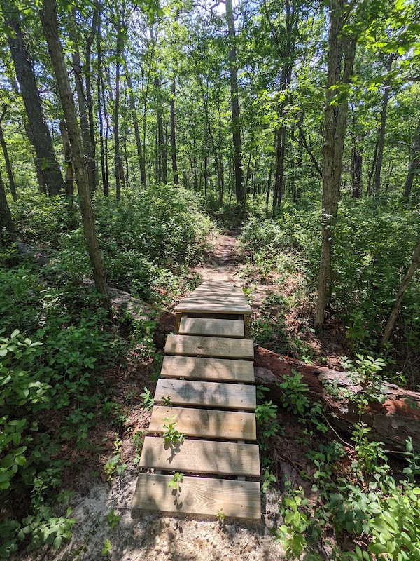 Lumpy Loop Multi Trail - Galloway, New Jersey