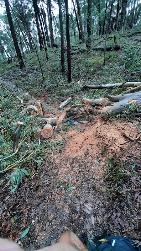 Jul 25, 2021 2Up Track Trail Report | Trailforks