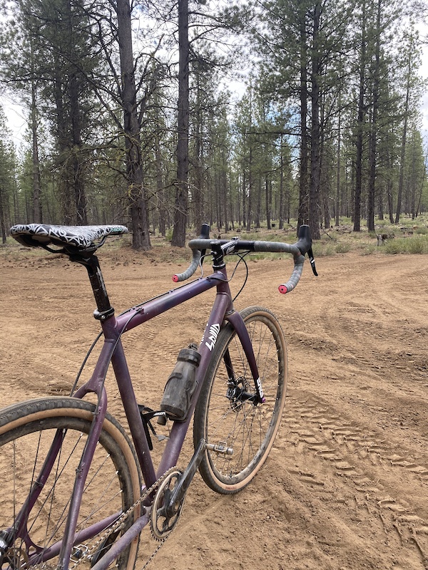 2020 Squid cross For Sale