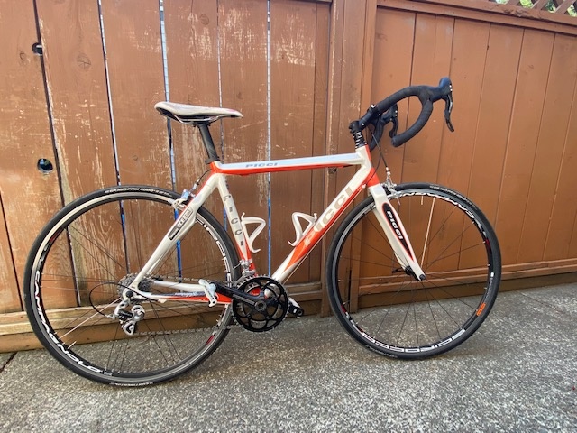 2010 Picci 10 Speed Road Bike For Sale