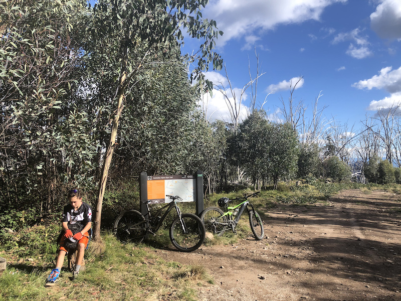 Bike Buller MTB Festival - Epic trail point to point race Mountain ...