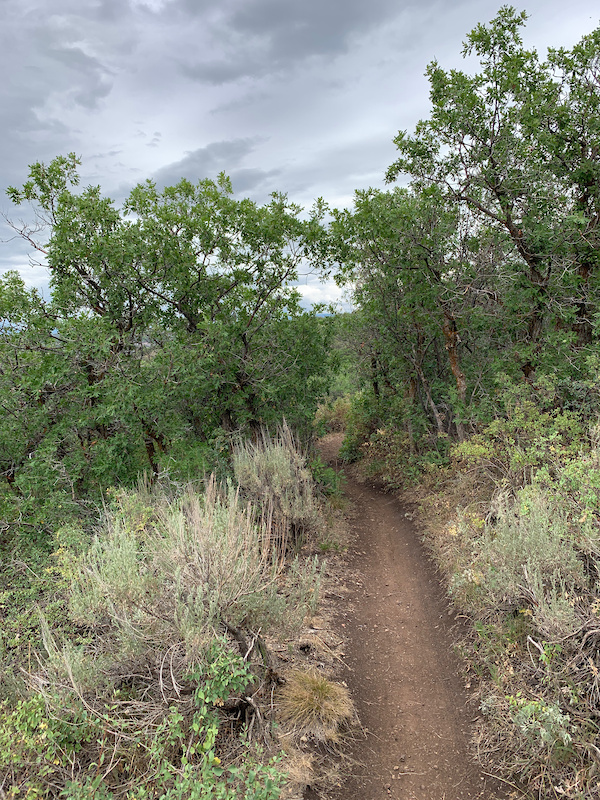Skid Row Mountain Biking Trail - Park City, Utah