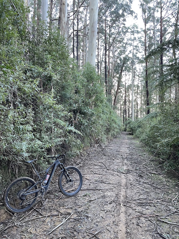 Wye Track Multi Trail - Great Otways, Deans Marsh