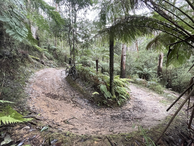 Best of Southern Trails Mountain Biking Route | Trailforks