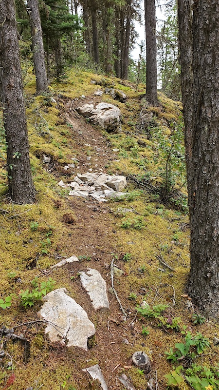 RimFire Mountain Biking Trail - Hazelton, BC