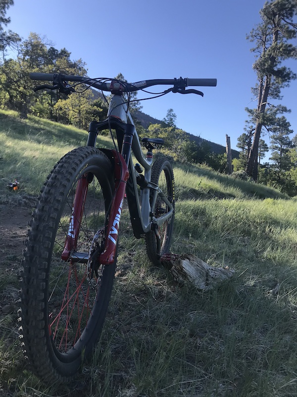 2020 Ibis Ripmo V2 medium For Sale