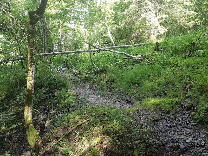 Morillon, France Mountain Biking Trails | Trailforks