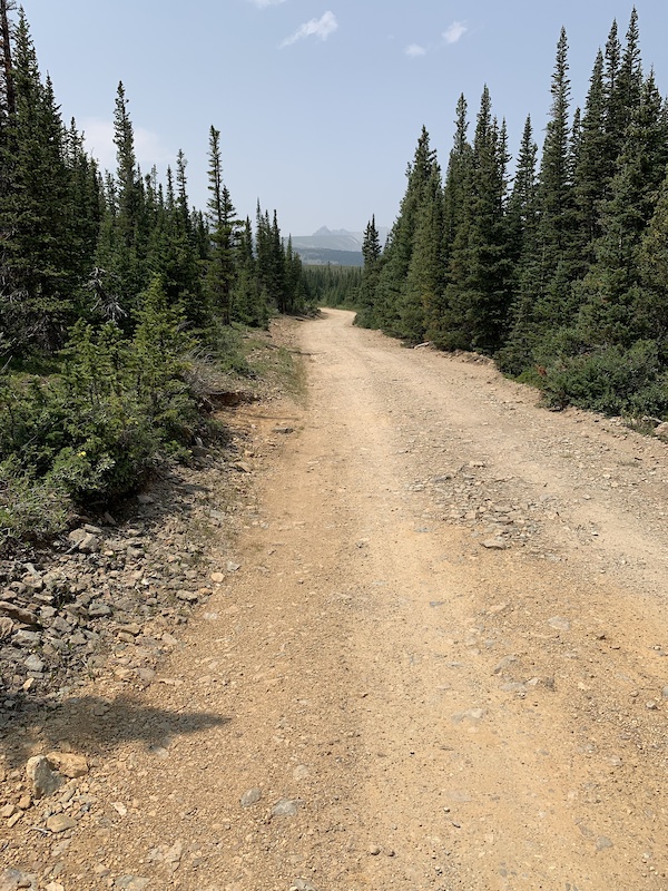 Lefthand Park Reservoir Road Multi Trail - Ward, Colorado