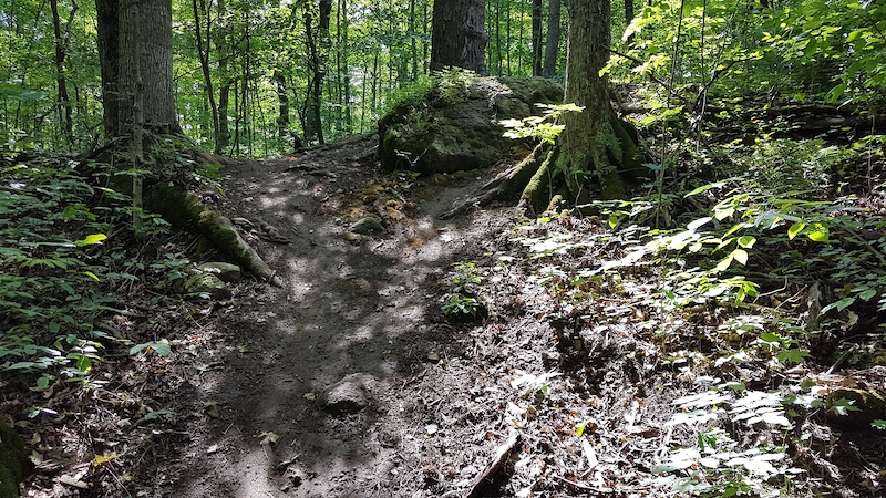 Arkell Full Loop Mountain Biking Route | Trailforks