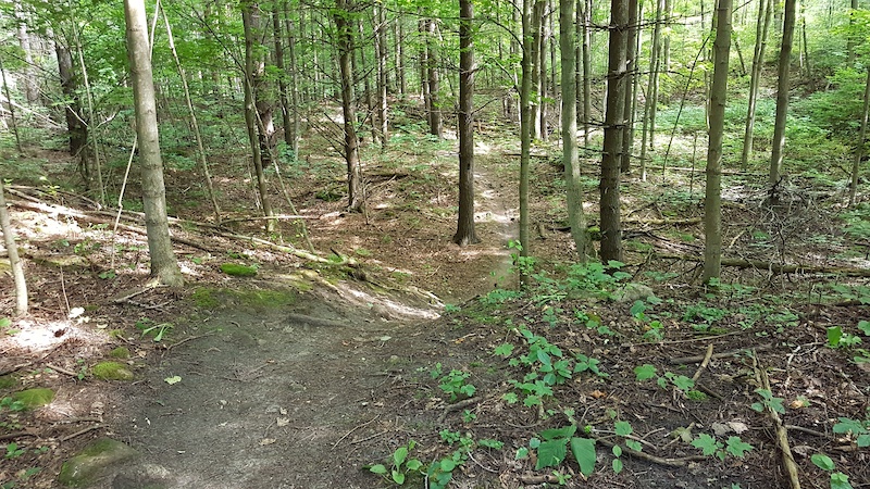Don Valley Parkway Mountain Biking Trail - Puslinch Township