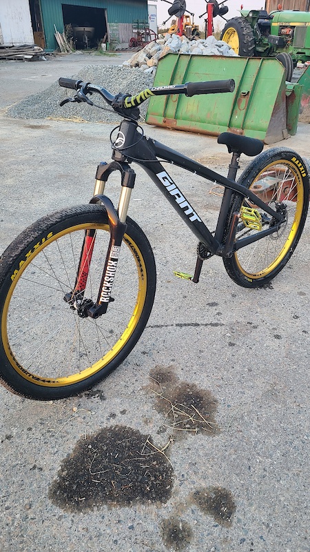 2015 Giant Stp For Sale