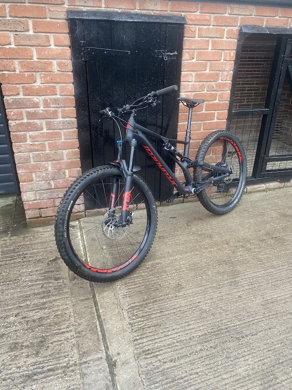 2019 specialized stunt jumper comp size m For Sale