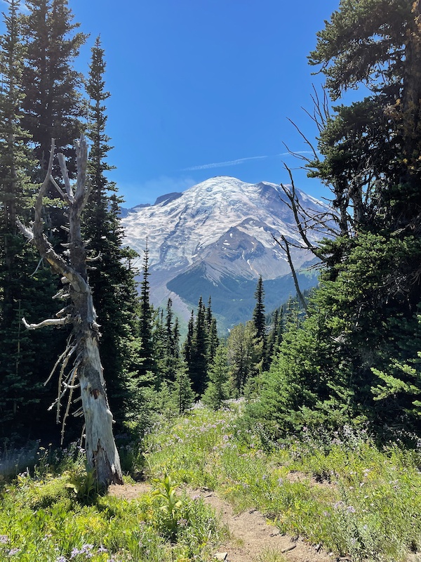 Wonderland Trail Hiking Route | Trailforks