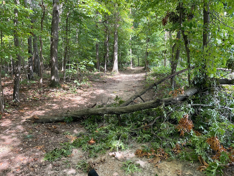 Southside Multi Trail - Reston, Virginia | Trailforks