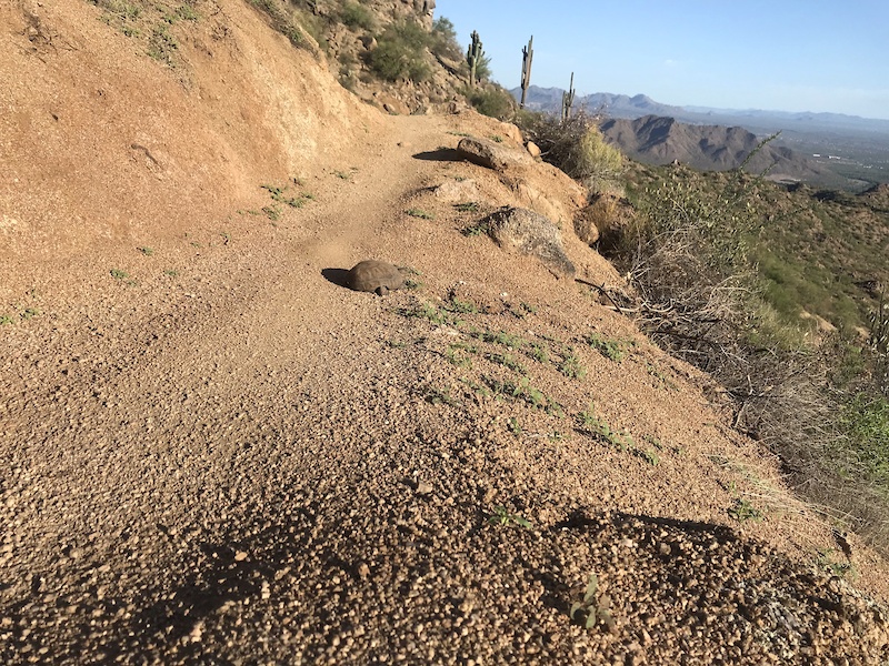 The High Goats on Red Mountain Mountain Biking Route | Trailforks