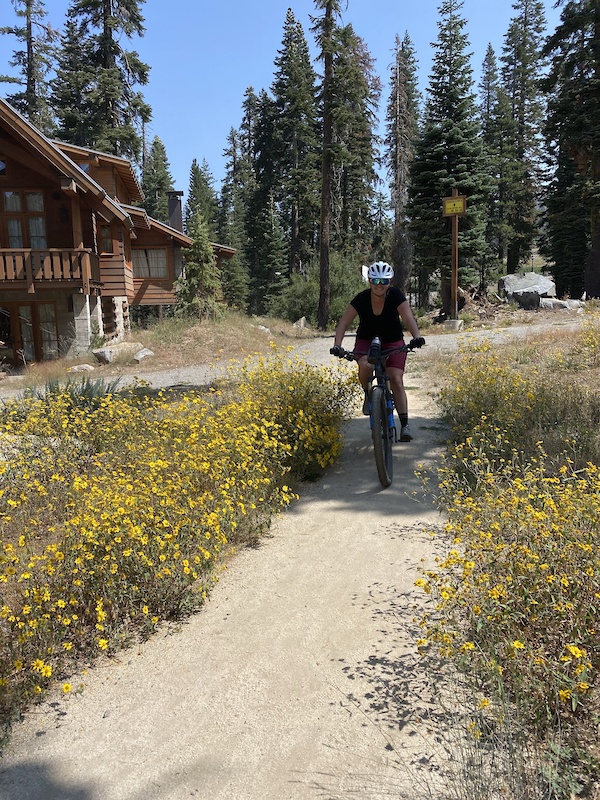 Village Loop (Mule Ears) Mountain Biking Trail - Truckee