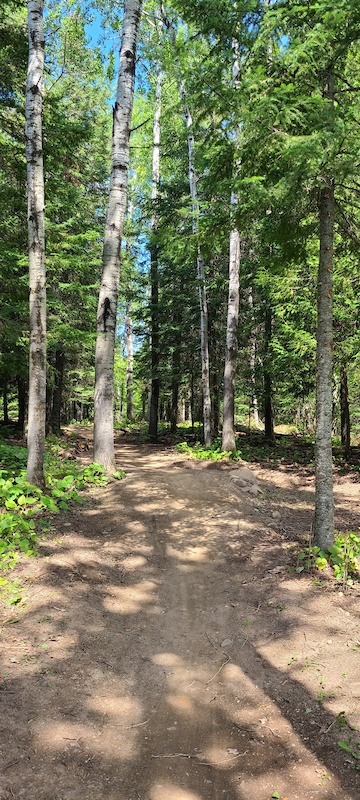 Balsam Connector Mountain Biking Trail - Thunder Bay