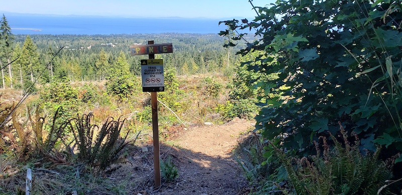 Sprinkles Mountain Biking Trail - Port Angeles, WA