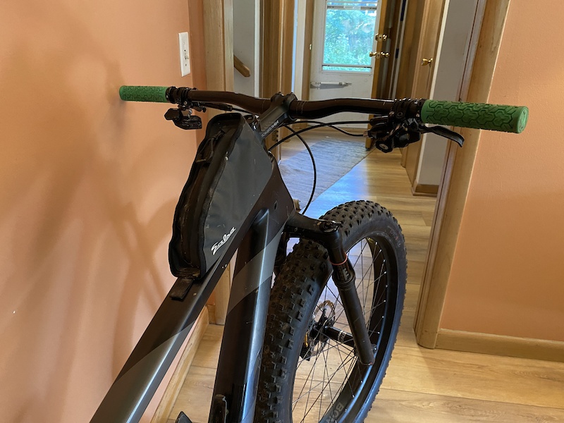 2020 Salsa Beargrease Bluto AXS For Sale